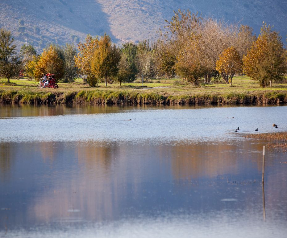 Exploring the Hidden Treasures: Top Things to Do in Northern Israel ...